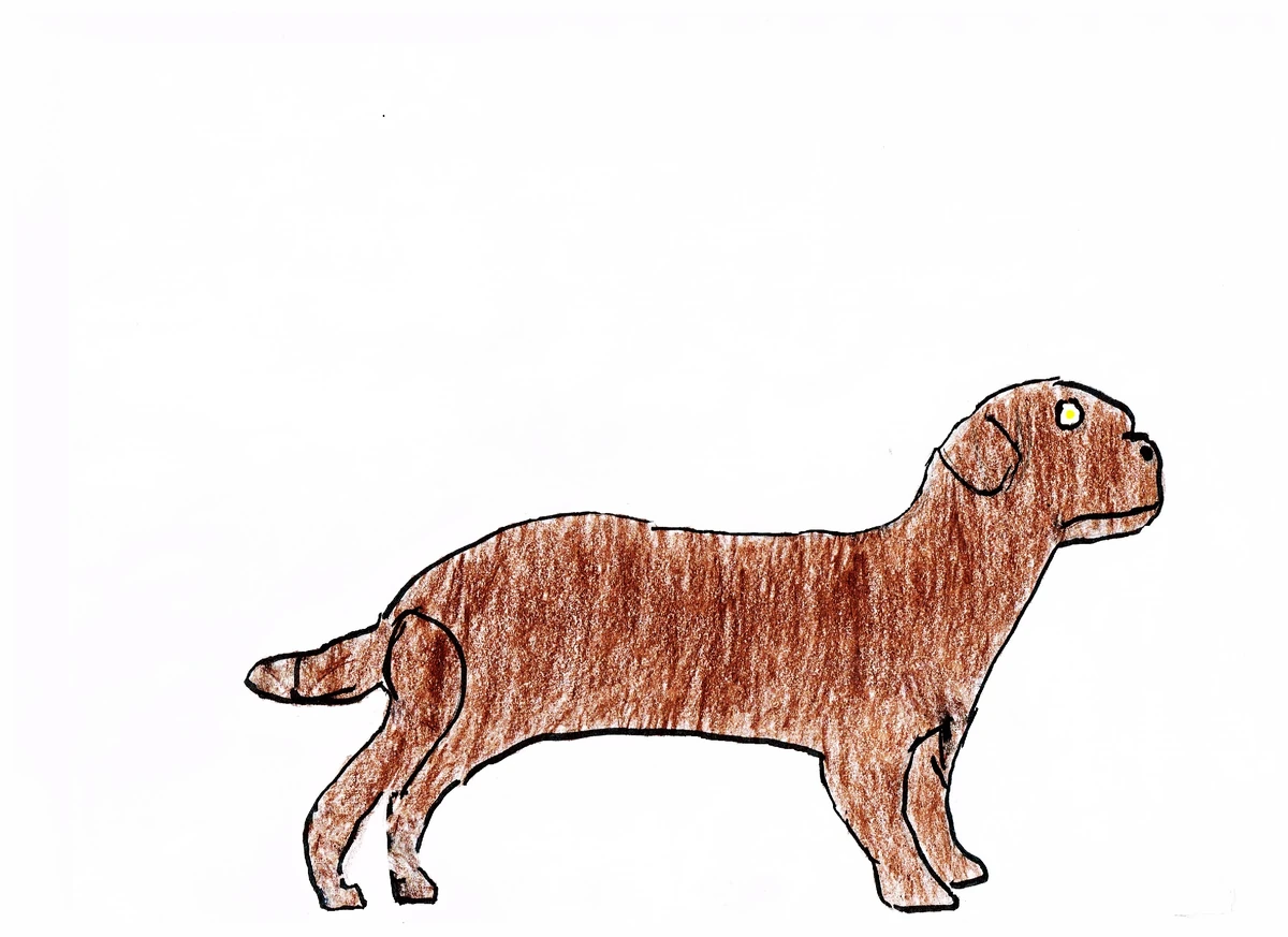 Randy | PAW Patrol Fanon Wiki | Fandom