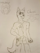 PAW Patrol: Shadows of Camaraderie | PAW Patrol Fanon Wiki | Fandom