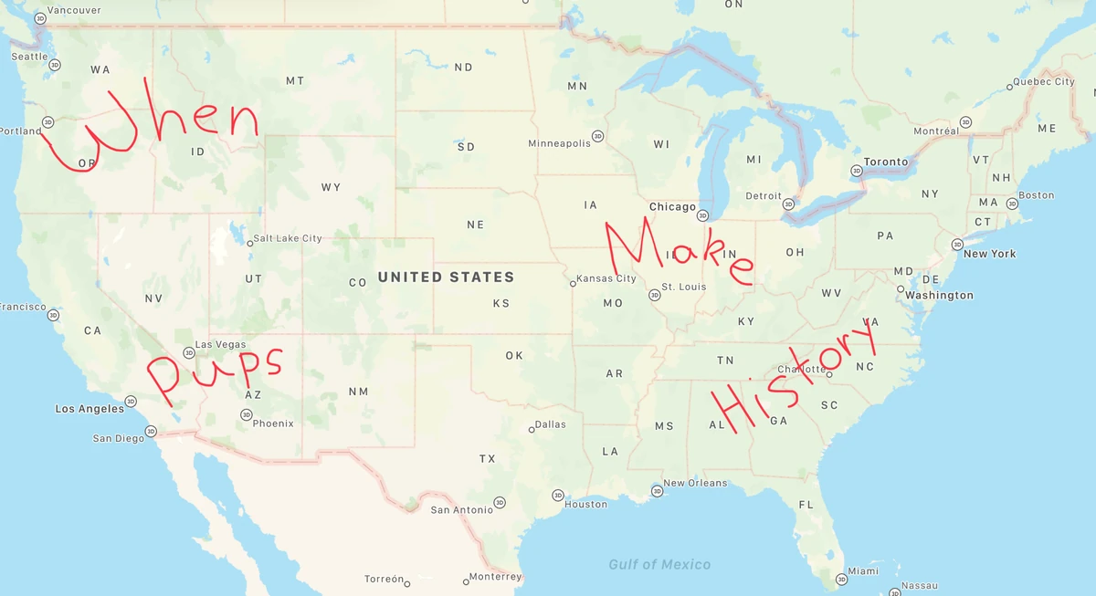 When Pups Make History: Pt 1 | PAW Patrol Fanon Wiki | Fandom