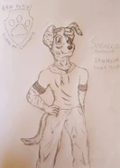 PAW Patrol: Shadows of Camaraderie | PAW Patrol Fanon Wiki | Fandom