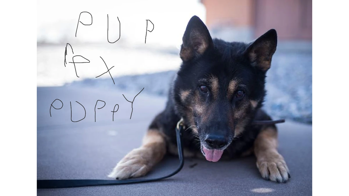 Pup rex | PAW Patrol Fanon Wiki | Fandom