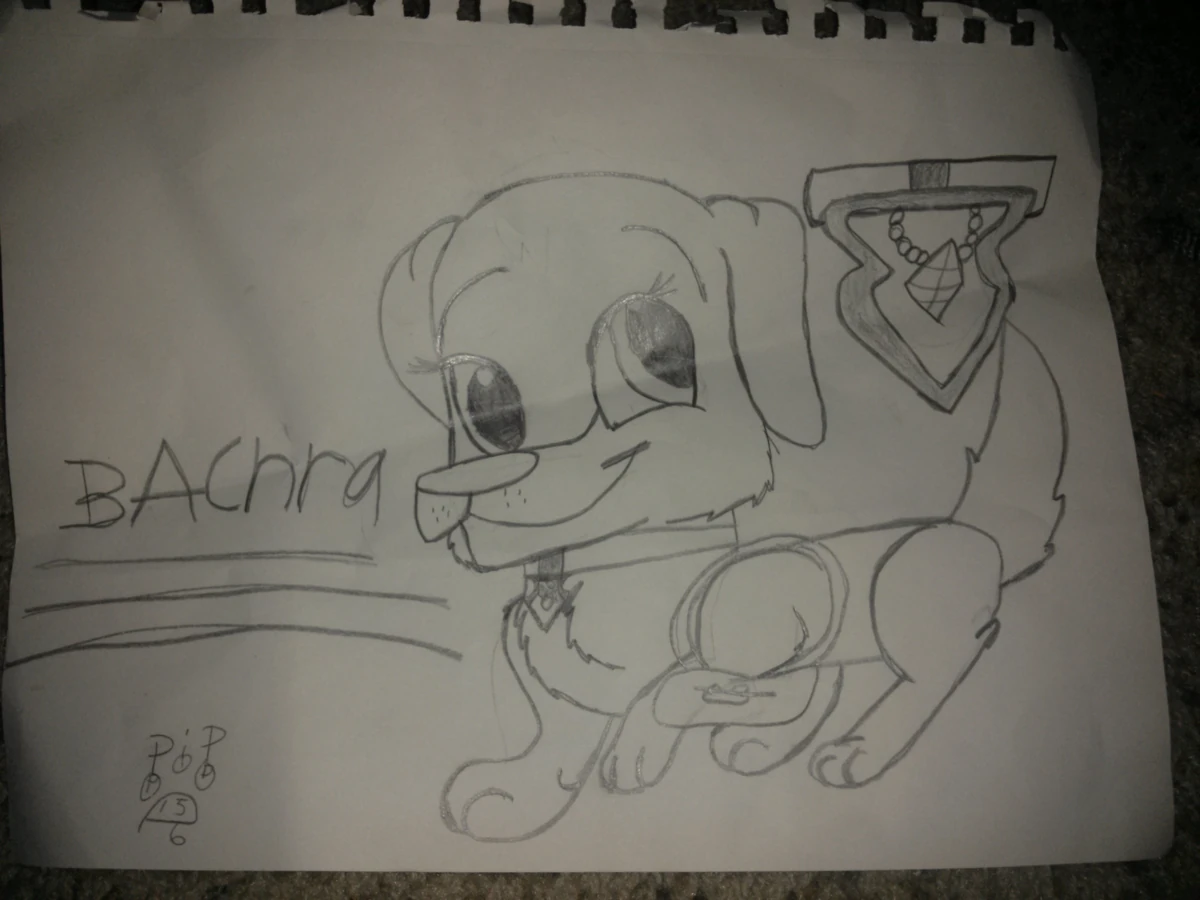 Bachra | PAW Patrol Fanon Wiki | Fandom