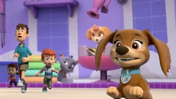 All Paws on Deck (TV Movie Cut) | PAW Patrol Fanon Wiki | Fandom