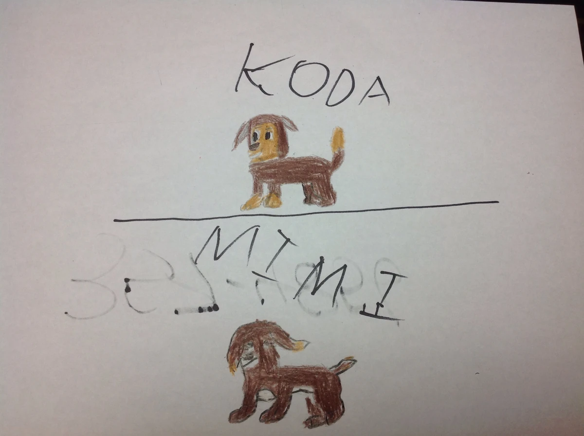 Water and Ice: Koho X Zuma pups | PAW Patrol Fanon Wiki | Fandom