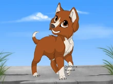 Ravioli (CP) | PAW Patrol Fanon Wiki | Fandom