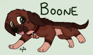 Boone | PAW Patrol Fanon Wiki | Fandom