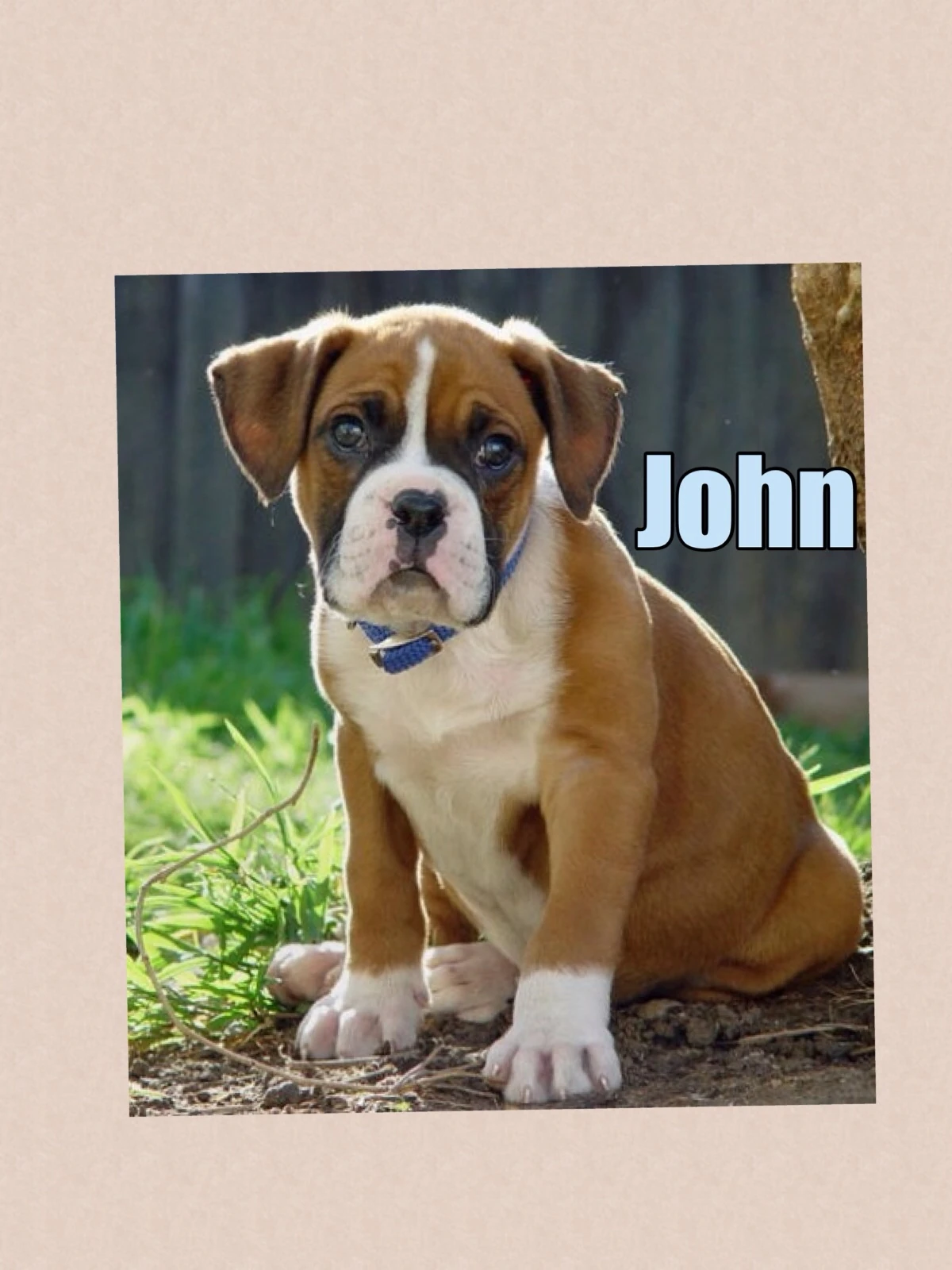 John | PAW Patrol Fanon Wiki | Fandom