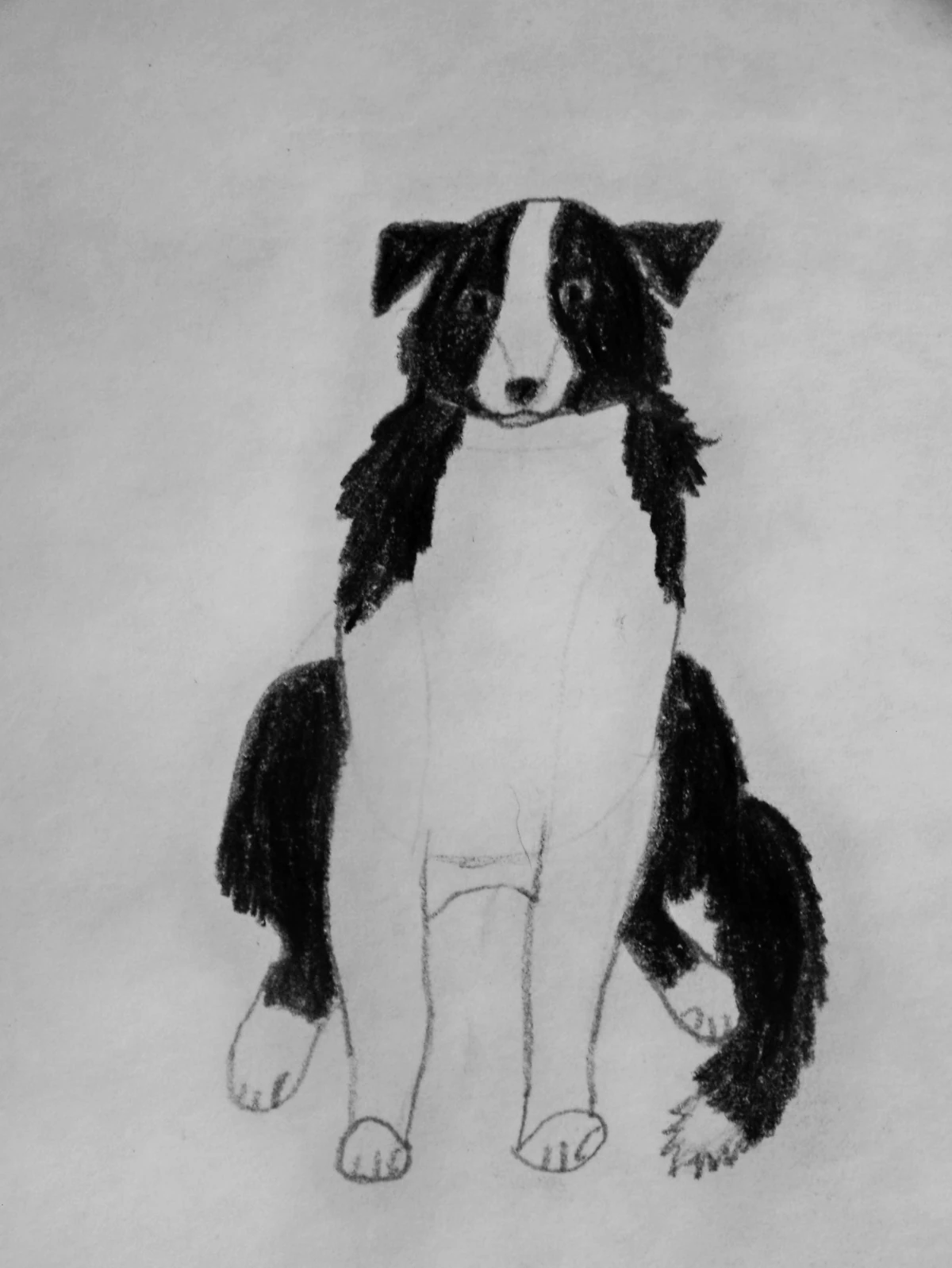 Shadow | PAW Patrol Fanon Wiki | Fandom