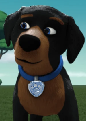 Apollo | PAW Patrol Fanon Wiki | Fandom