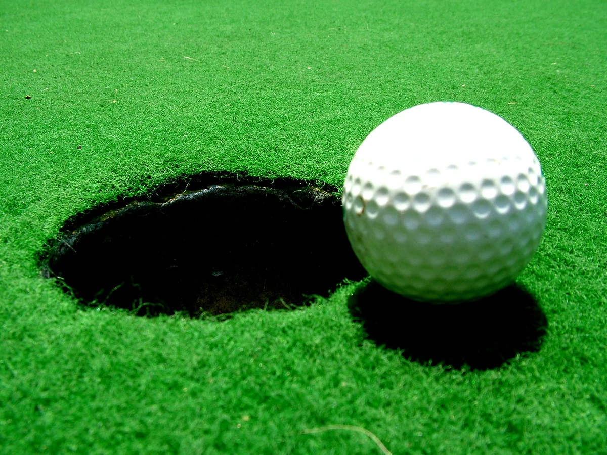 Pups playing Golf | PAW Patrol Fanon Wiki | Fandom