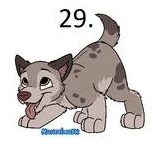 Scrappy | PAW Patrol Fanon Wiki | Fandom