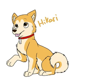 Hikari | PAW Patrol Fanon Wiki | Fandom