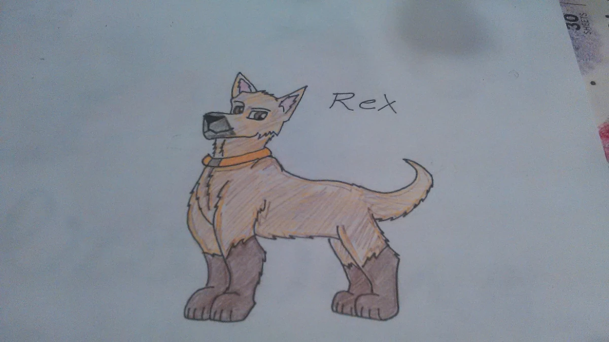 Rex | PAW Patrol Fanon Wiki | Fandom