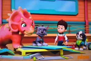 Rocky & Rex/Gallery | Paw Patrol Relation Ship Wiki | Fandom