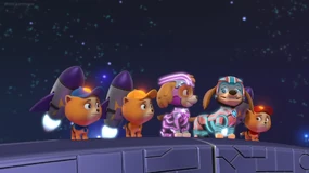 Skye & Liberty/Gallery | Paw Patrol Relation Ship Wiki | Fandom