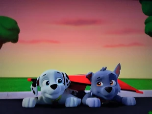 Marshall & Rubble | Paw Patrol Relation Ship Wiki | Fandom