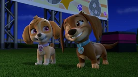 Skye & Liberty/Gallery | Paw Patrol Relation Ship Wiki | Fandom