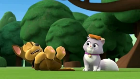 Chase & Rubble | Paw Patrol Relation Ship Wiki | Fandom