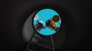 Chase & Ryder | Paw Patrol Relation Ship Wiki | Fandom