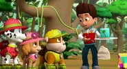 Ryder and Marshall/gallery | Paw Patrol Relation Ship Wiki | Fandom