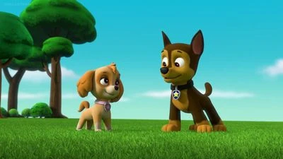 Tracker & Skye | Paw Patrol Relation Ship Wiki | Fandom