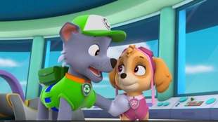 Tracker & Skye | Paw Patrol Relation Ship Wiki | Fandom