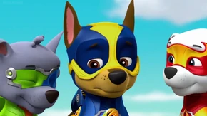 Chase & Rubble | Paw Patrol Relation Ship Wiki | Fandom