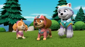 Skye & Liberty/Gallery | Paw Patrol Relation Ship Wiki | Fandom