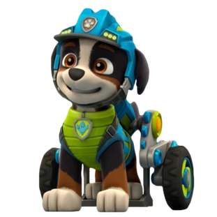 Rocky & Rex | Paw Patrol Relation Ship Wiki | Fandom