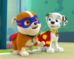 Zuma & Marshall | Paw Patrol Relation Ship Wiki | Fandom