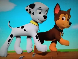 Chase & Ryder | Paw Patrol Relation Ship Wiki | Fandom