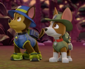 Tracker & Chase/Gallery | Paw Patrol Relation Ship Wiki | Fandom