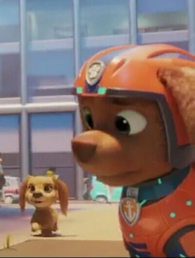 Zuma & Liberty/Gallery | Paw Patrol Relation Ship Wiki | Fandom