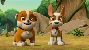 Chase & Rubble | Paw Patrol Relation Ship Wiki | Fandom
