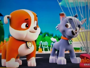 Chase & Rubble | Paw Patrol Relation Ship Wiki | Fandom