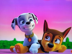 Marshall & Rubble | Paw Patrol Relation Ship Wiki | Fandom