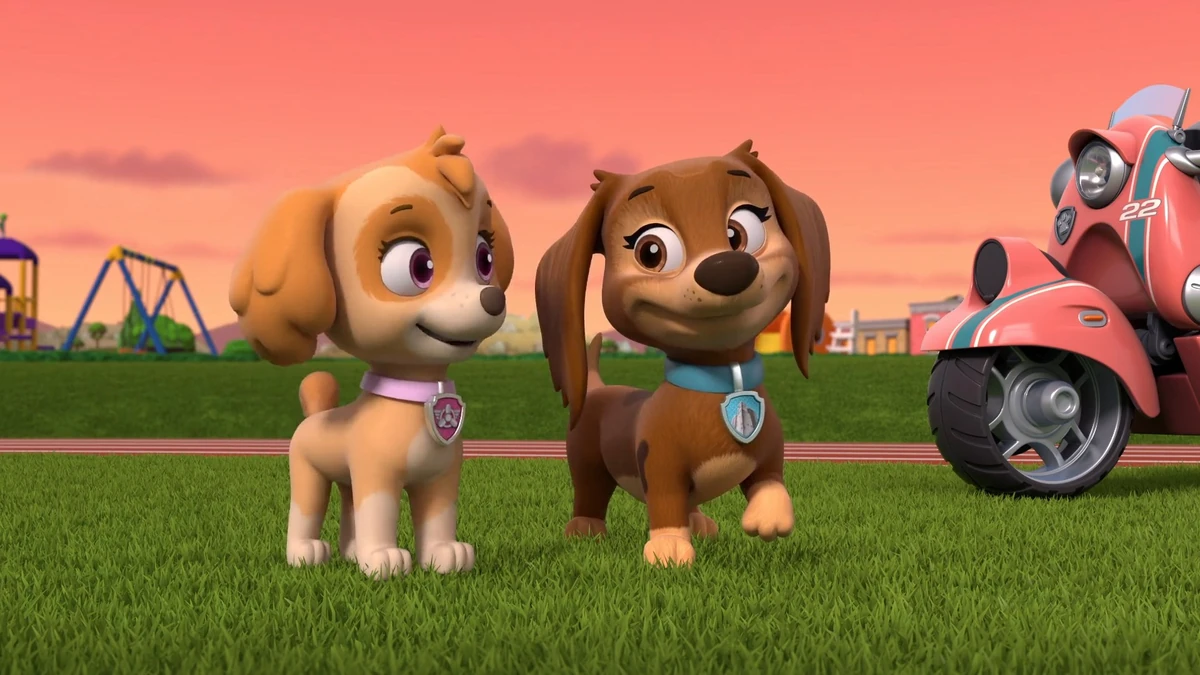 Skye & Liberty/Gallery | Paw Patrol Relation Ship Wiki | Fandom