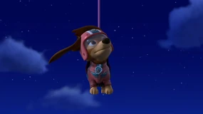 Skye & Liberty/Gallery | Paw Patrol Relation Ship Wiki | Fandom