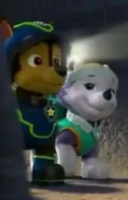 Chase & Everest/Gallery | Paw Patrol Relation Ship Wiki | Fandom