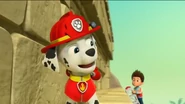 Ryder and Marshall/gallery | Paw Patrol Relation Ship Wiki | Fandom