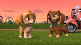 Skye & Liberty/Gallery | Paw Patrol Relation Ship Wiki | Fandom