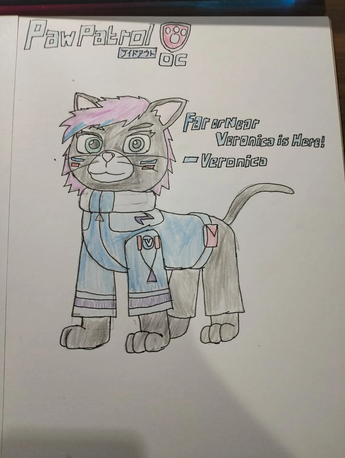 Category:Characters | PAW Patrol Rideout Wiki | Fandom
