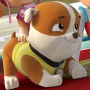 Rubble | Wiki Paw Patrol Spanish | Fandom
