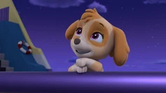 Mer-pup Lullaby | PAW Patrol Wiki | Fandom