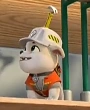 Auntie Crane | PAW Patrol Wiki | Fandom