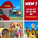 Pups Save a Bat/Gallery | PAW Patrol Wiki | Fandom