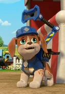 Wheeler | PAW Patrol Wiki | Fandom