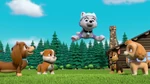 Chase/Gallery/Liberty's Mountain Rescue | PAW Patrol Wiki | Fandom