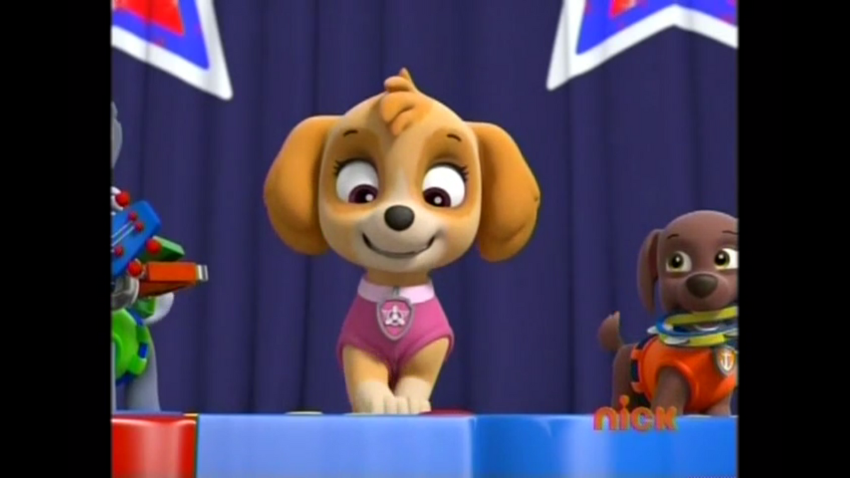 Skyegallerypups Save A Talent Show Paw Patrol Wiki Fandom