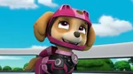 Skye/Gallery/Moto Pups: Pups vs. the Ruff-Ruff Pack | PAW Patrol Wiki ...